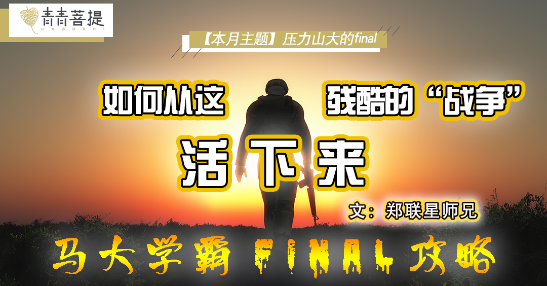 Final作战手册 - UM Bodhi